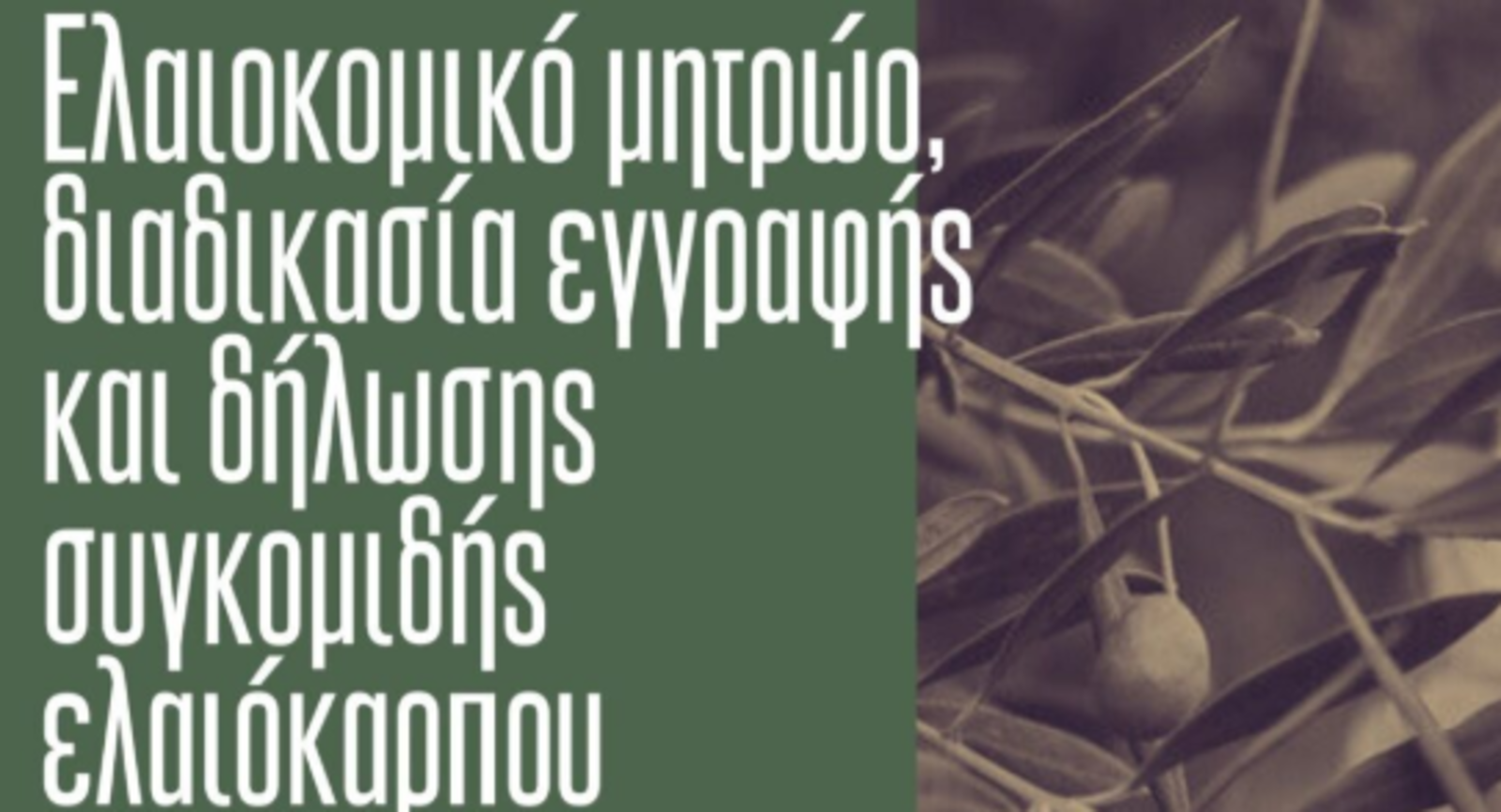 Ελαιοκομικό Μητρώο